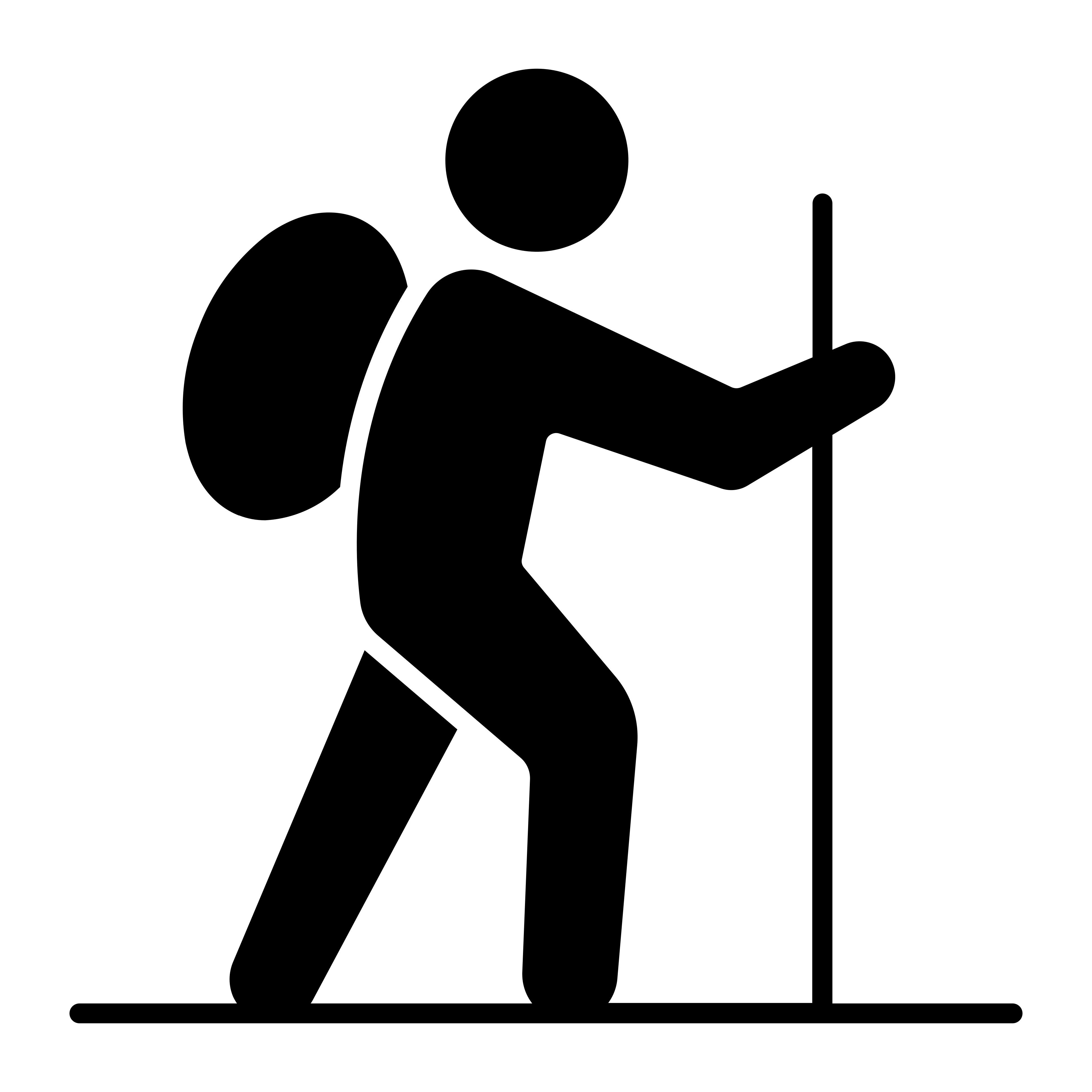 Washington Peer Network