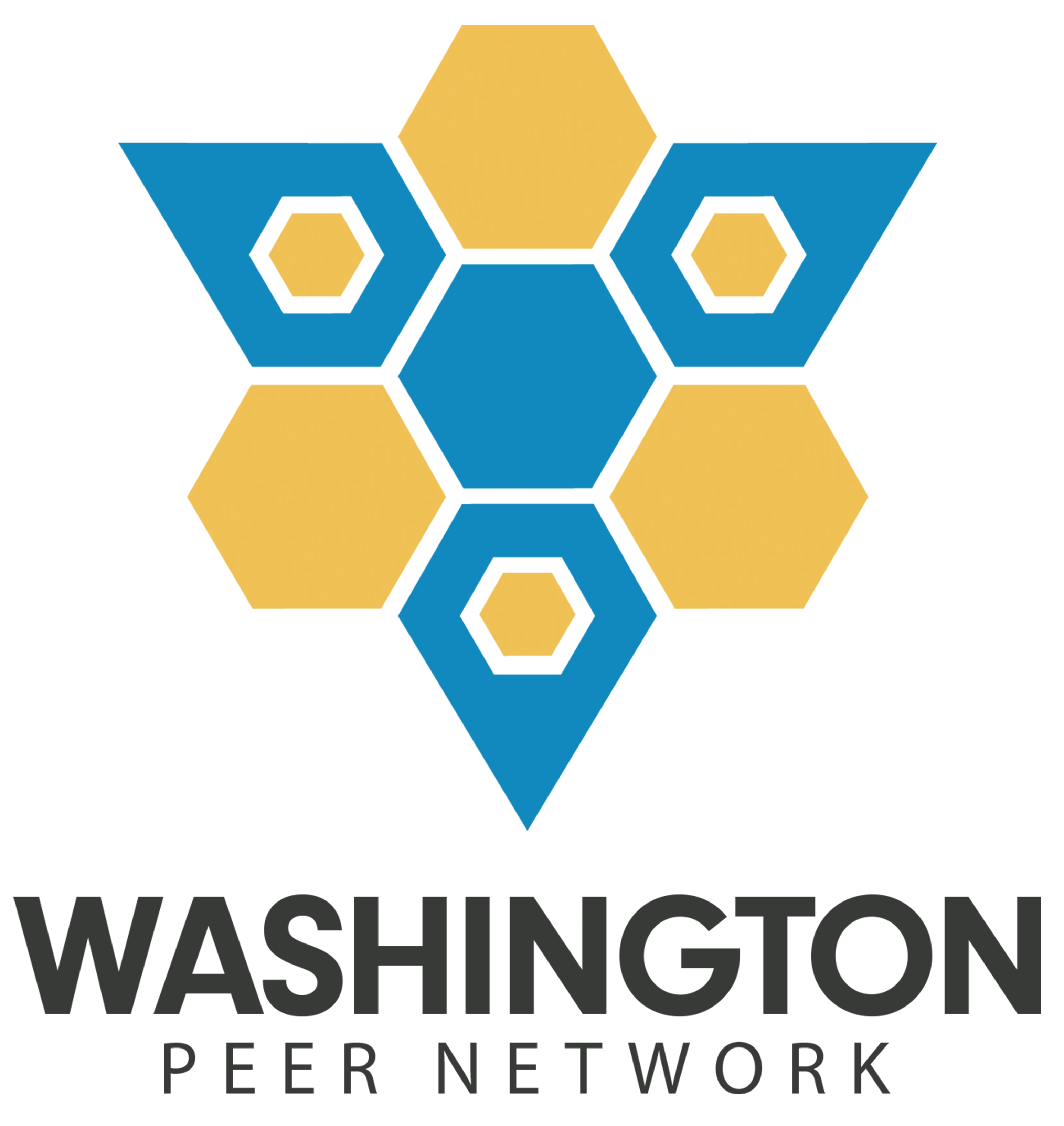 Washington Peer Network